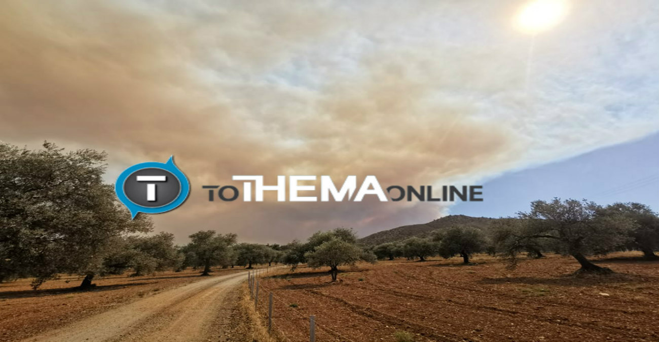 Άκουσε την ποινή του ο 69χρονος για την φονική πυρκαγιά στον Αρακαπά ...