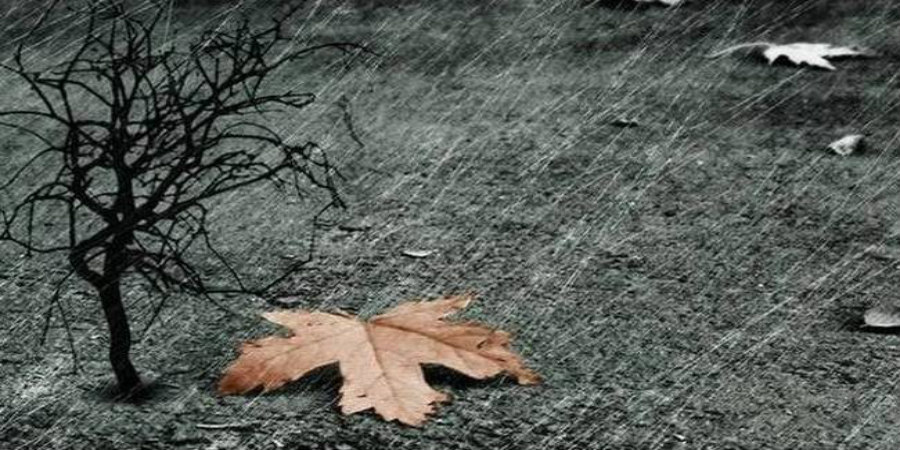 Άρχισε να μυρίζει Φθινόπωρο – Δείτε βίντεο από διάφορες περιοχές της Κύπρου