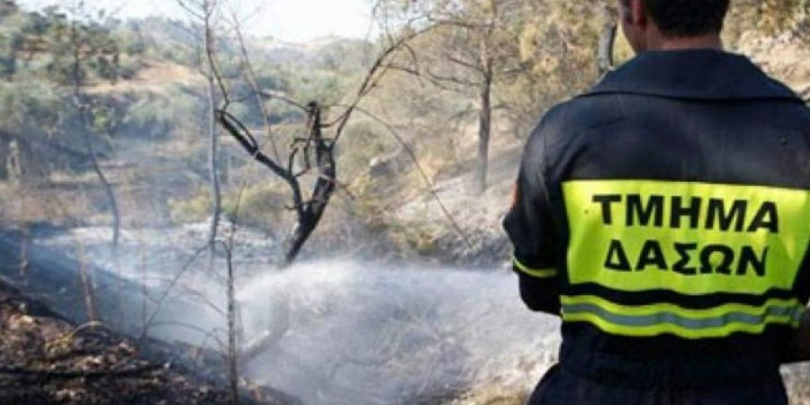 Αρχισε και θα εντατικοποιηθεί τα επόμενα χρόνια η χρήση drones από το ...