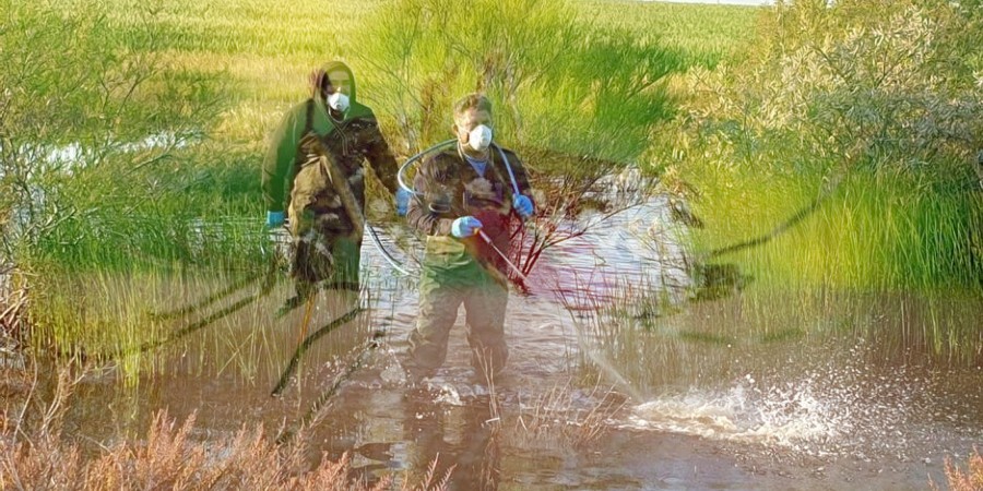 Μαίνεται ο «πόλεμος» κατά των επικίνδυνων κουνουπιών στη Λάρνακα ...