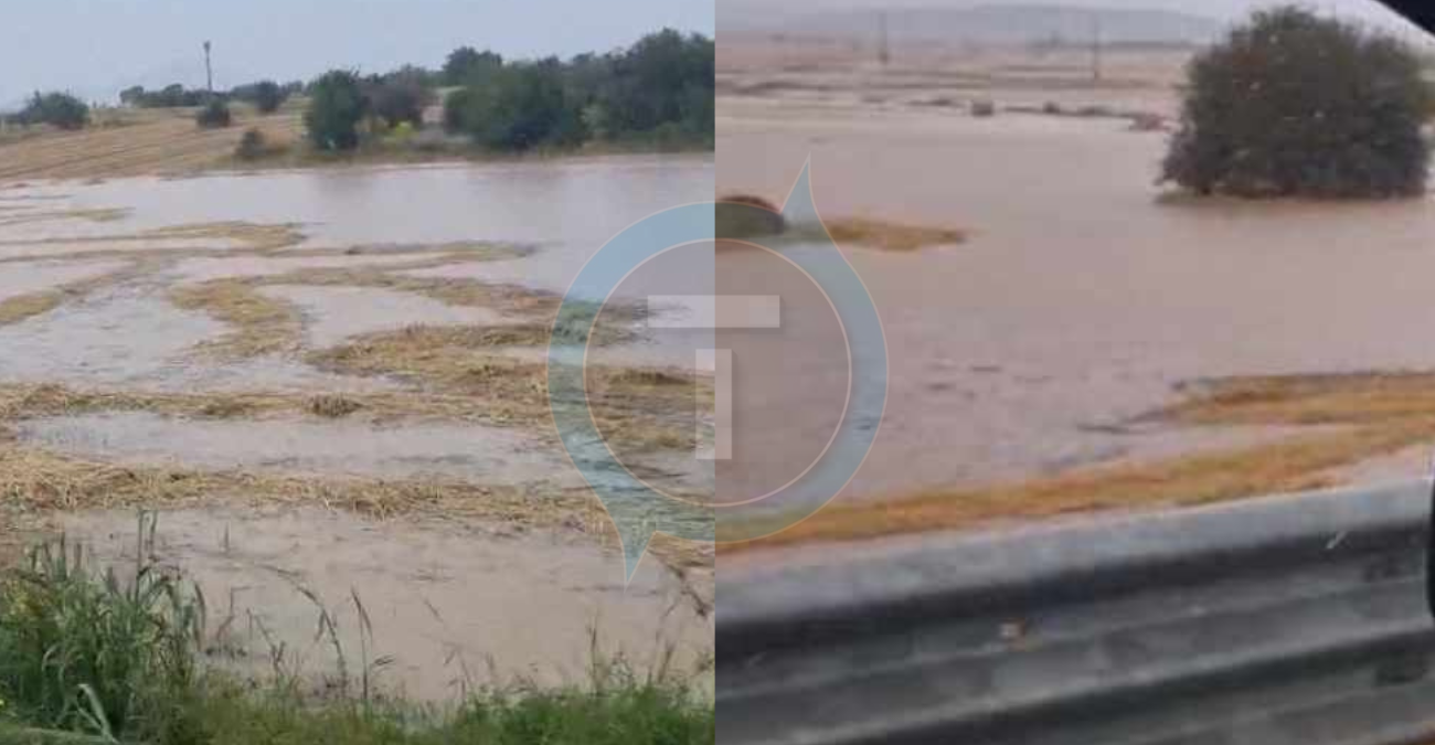 «Κλαίνε» οι γεωργοί: Συγκλονιστικό βίντεο από την καταστροφή στις ...