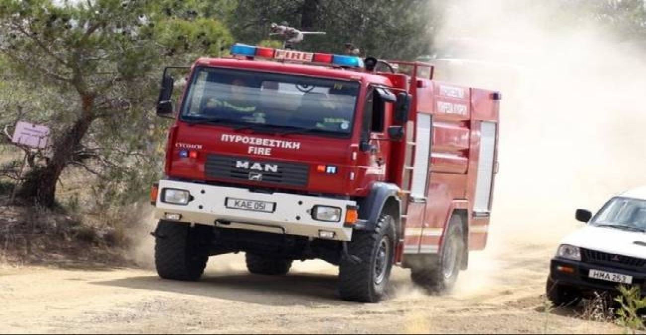 Πυρκαγιά από ρίψη φωτοβολίδας στον δημόσιο κήπο Λεμεσού – Φωτιά και σε ...