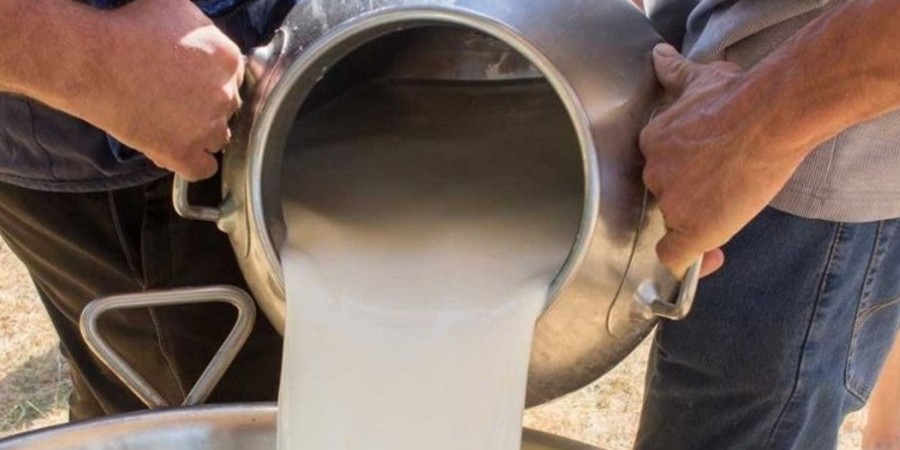 Στο Προεδρικό το αγελαδινό γάλα αν κλείσουν τα τυροκομεία - Οι ...