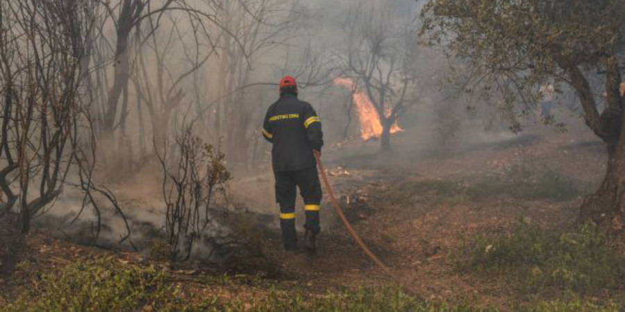 ΠΥΡΚΑΓΙΑ ΕΥΒΟΙΑΣ: Τι άφησε πίσω της η λαίλαπα