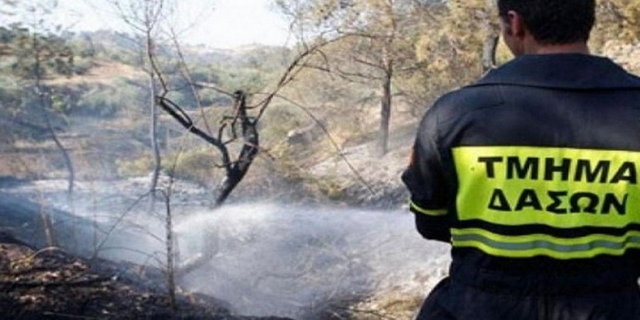 ΤΜΗΜΑ ΔΑΣΩΝ: Κόκκινος συναγερμός - Τεράστιος κίνδυνος έκρηξης πυρκαγιών